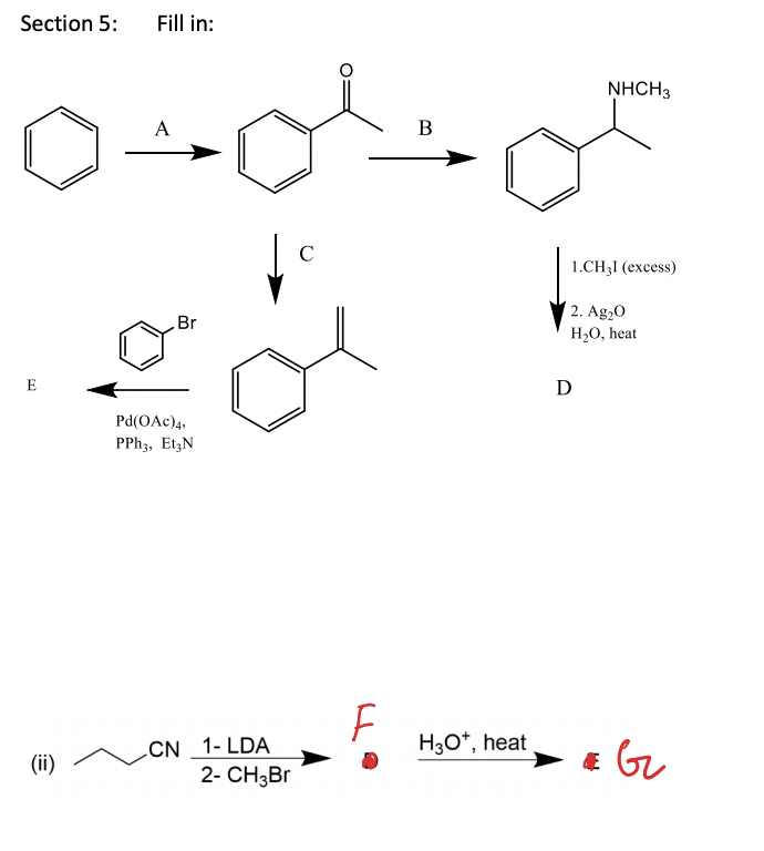 Solved Section 5: Fill in: NHCH3 A В. с 1.CH31 (excess) 2. | Chegg.com