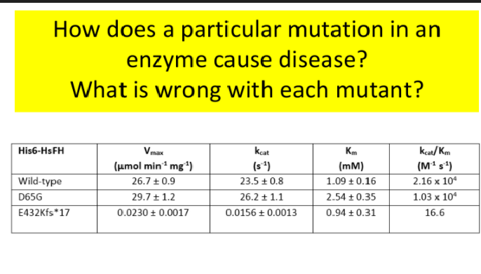 Solved How does a particular mutation in an enzyme cause | Chegg.com