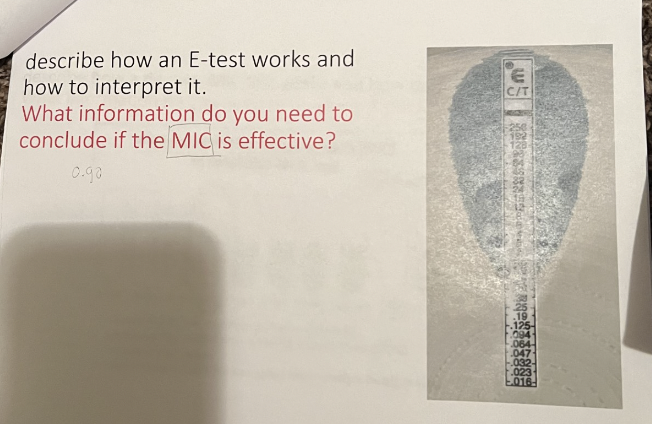 Solved describe how an E-test works andhow to interpret | Chegg.com