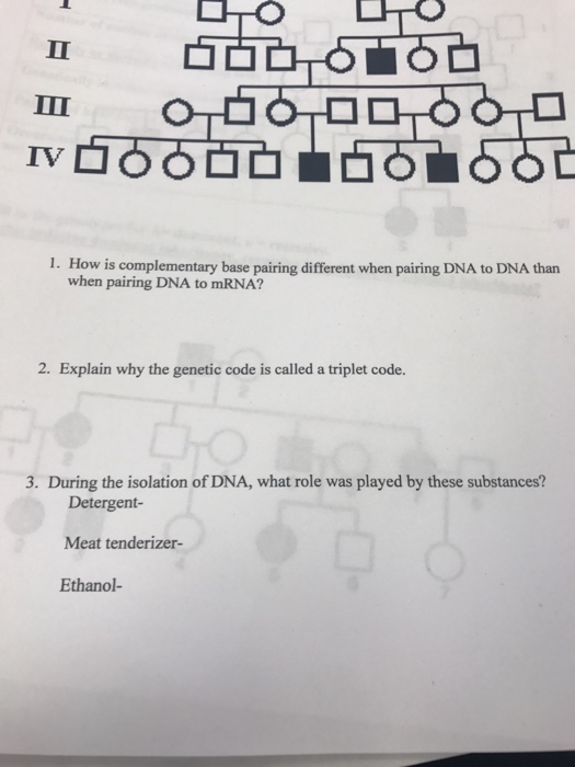 Solved How is complementary base pairing different when | Chegg.com