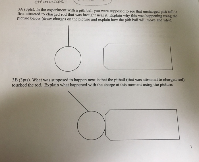 Solved eiecrruscepe 3A (3pts). In the experiment with a pith | Chegg.com