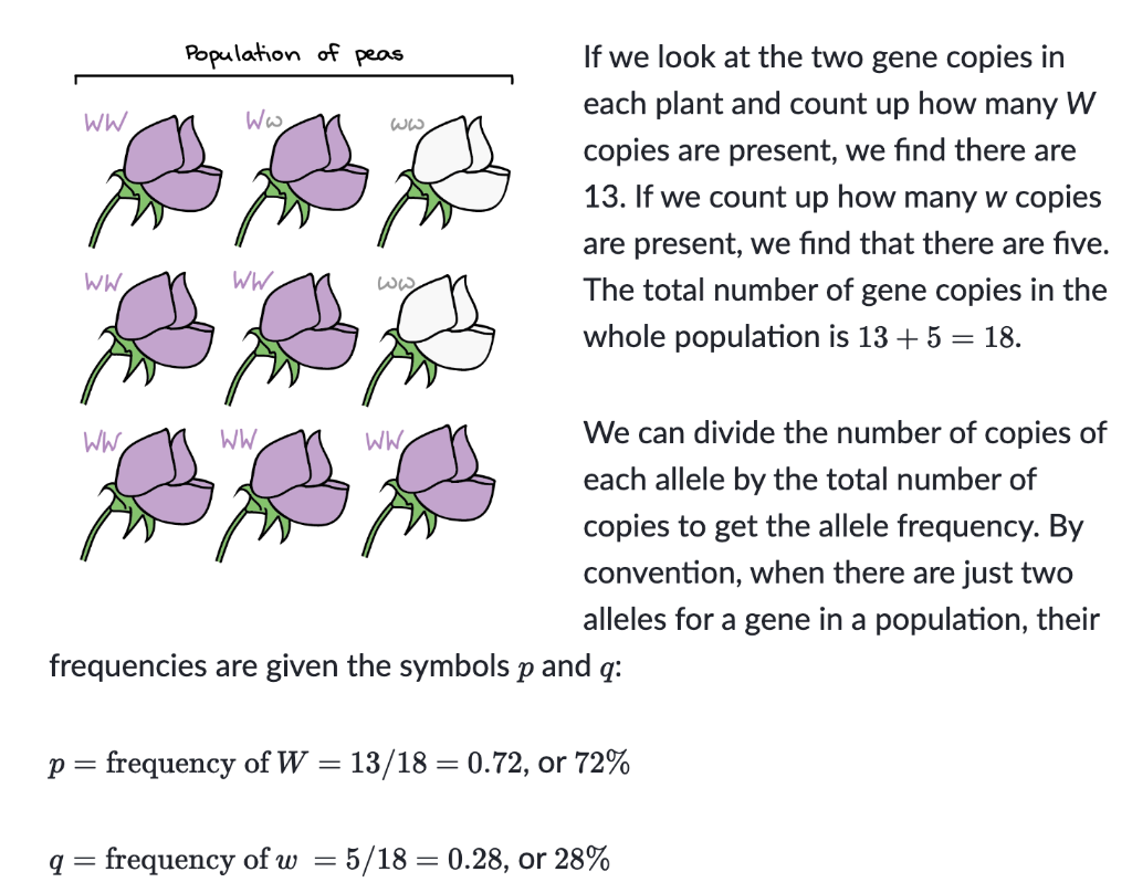 Solved From my understanding to find alleles frequency you | Chegg.com