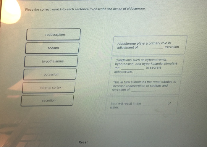 Solved Place the correct word into each sentence to describe | Chegg.com