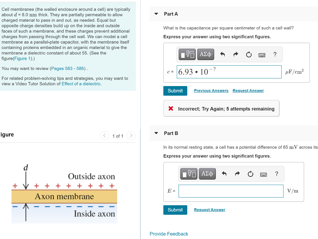 Solved Part A Cell membranes (the walled enclosure around a | Chegg.com
