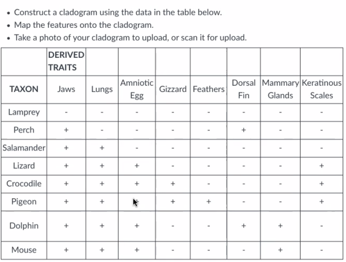 Solved Construct a cladogram using the data in the table | Chegg.com