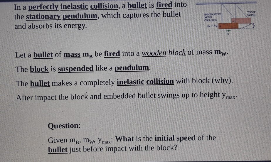 Solved In a perfectly inelastic collision, a bullet is fired | Chegg.com