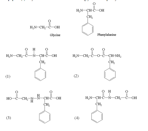 Solved Amino acids polymerize in condensation reactions that | Chegg.com