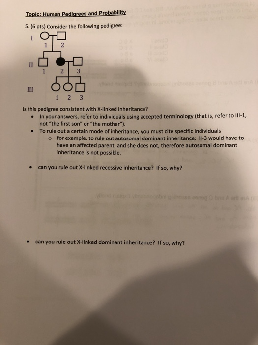 Solved Topic: Human Pedigrees and Probability 5. (6 pts) | Chegg.com