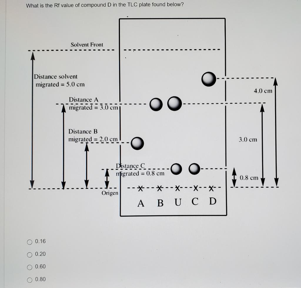 Solved What is the Rf value of compound D in the TLC plate | Chegg.com