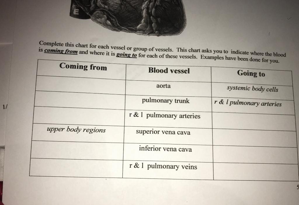 Solved Complete this chart for each vessel or group of | Chegg.com