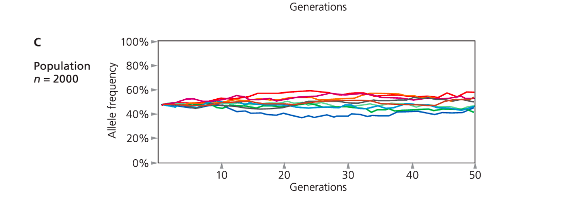 Solved Which of the following genetic simulations includes | Chegg.com