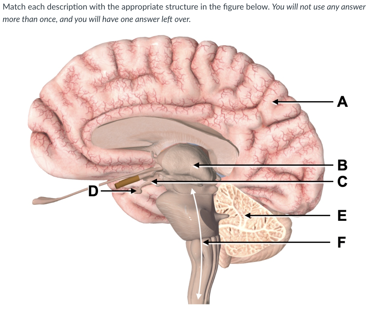 Solved Match each description with the appropriate structure | Chegg.com