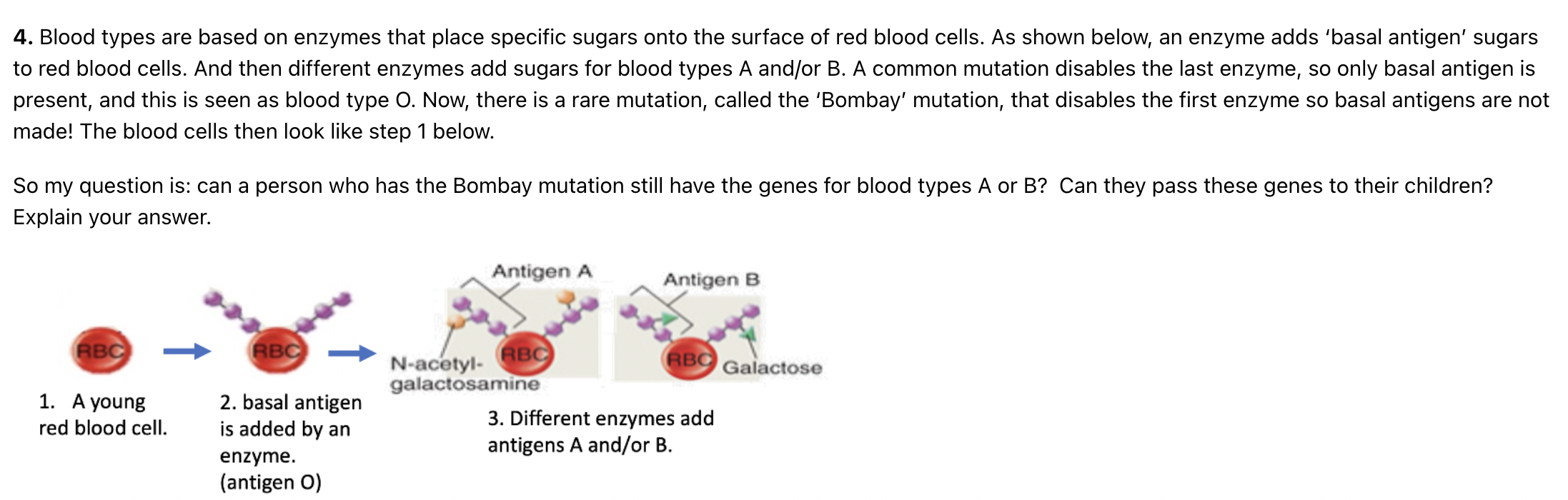 Solved 4. Blood types are based on enzymes that place | Chegg.com