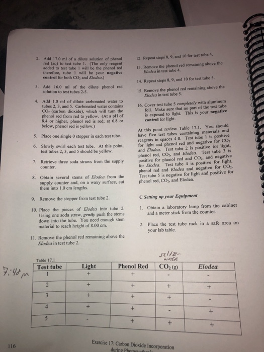 Solved Carbon Dioxide Incorporation during Photosynthesis | Chegg.com