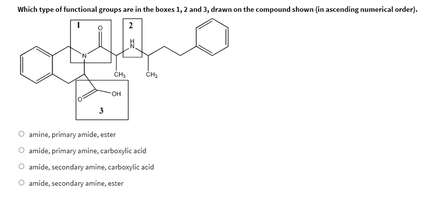 Solved amine, primary amide, ester amide, primary amine, | Chegg.com