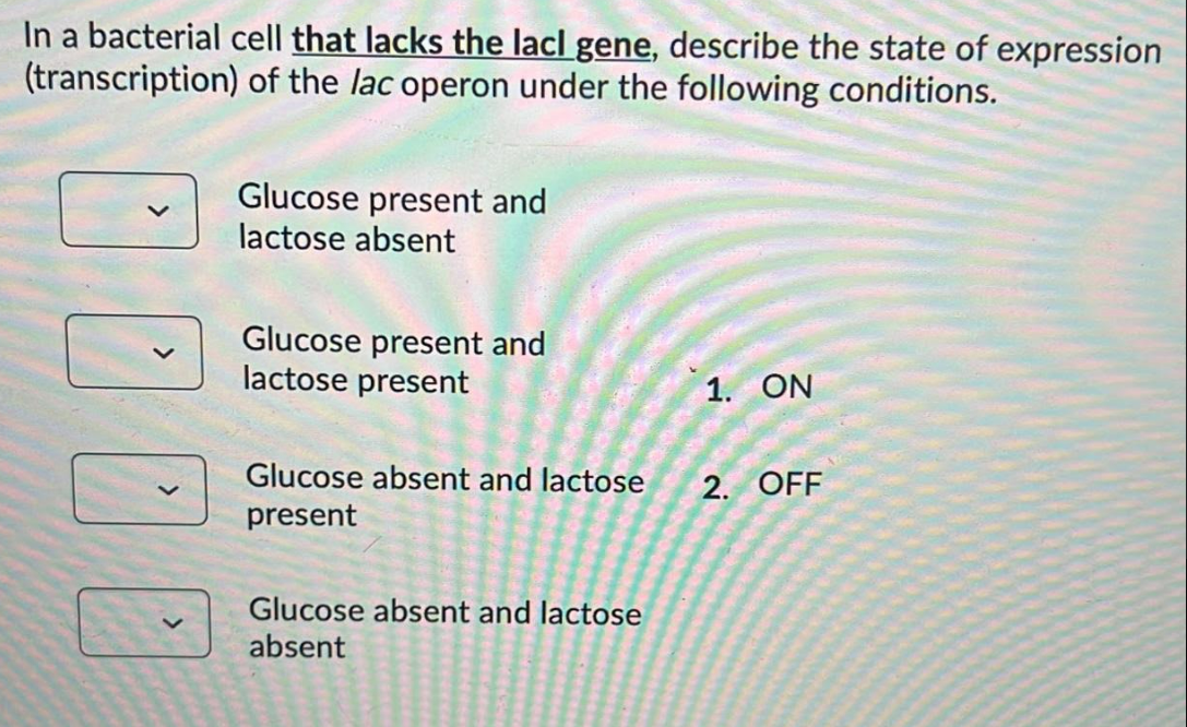 Solved In a bacterial cell that lacks the laco sequence, | Chegg.com