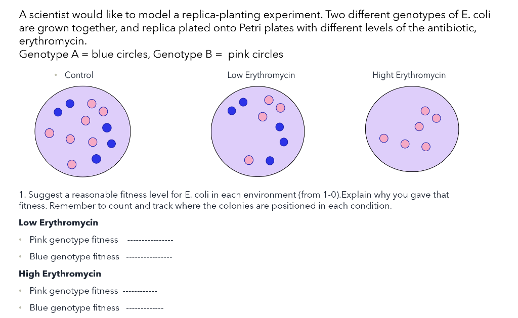 [Solved]: A scientist would like to model a replica-planti