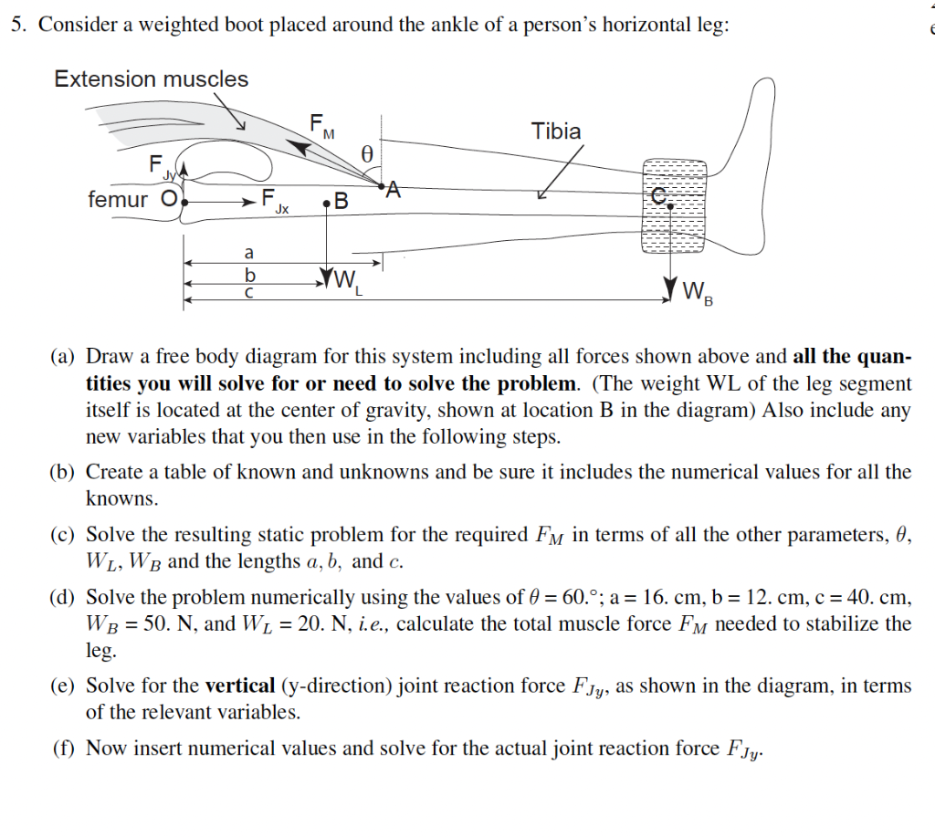 Solved 5. Consider a weighted boot placed around the ankle | Chegg.com