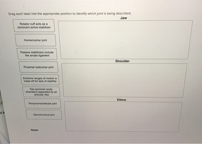 Solved Drag each label into the appropriate position to | Chegg.com