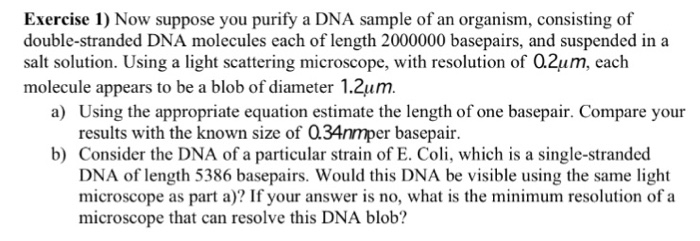 Solved Exercise 1) Now suppose you purify a DNA sample of an | Chegg.com