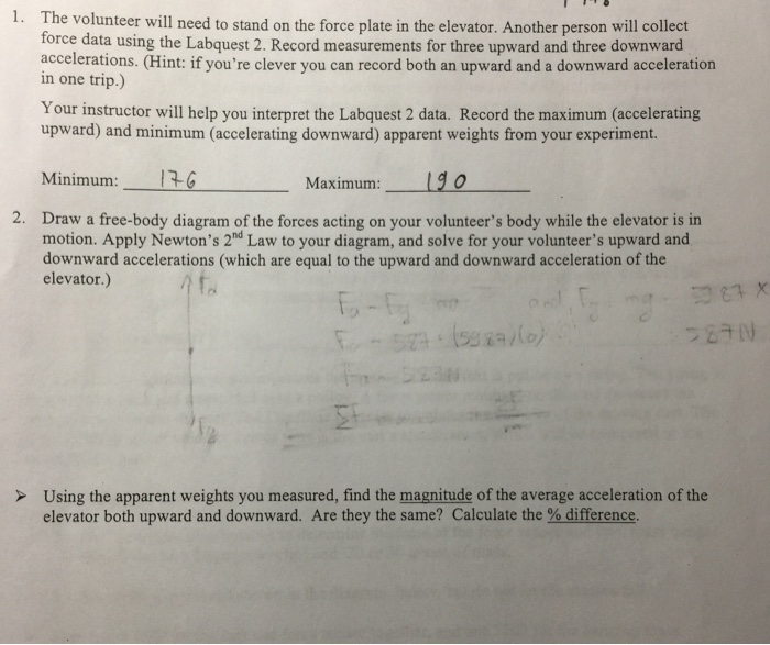 Solved D. Apparent Weight in an Elevator How does your | Chegg.com