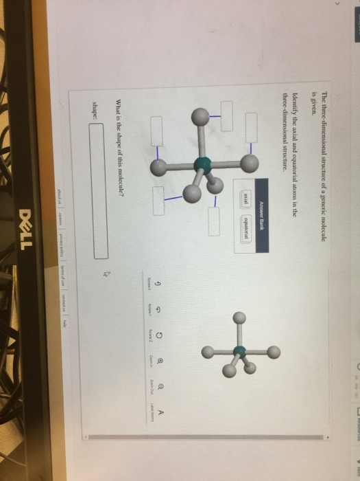 Solved The three-dimensional structure of a generic molecule | Chegg.com
