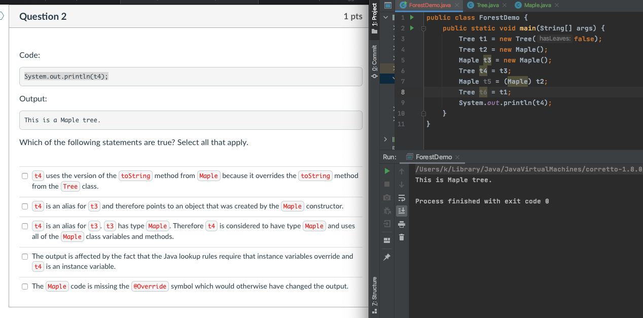 Solved Maple.java x ForestDemo.java Tree.java ol public | Chegg.com