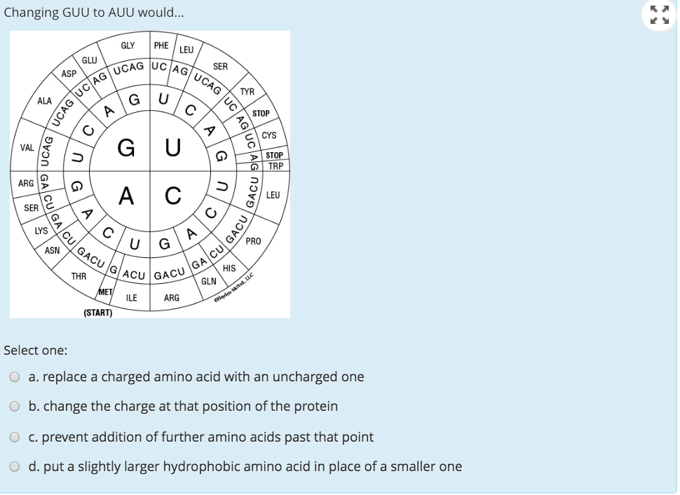 Solved If a mutation changed an AAA codon to GAA. GLY PHE | Chegg.com