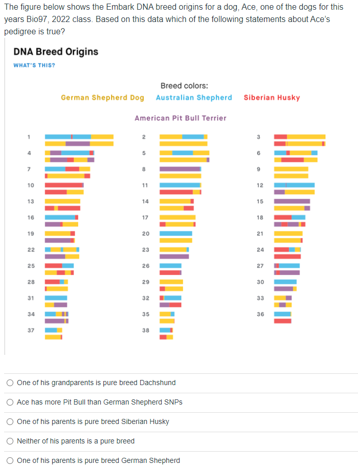 Solved The figure below shows the Embark DNA breed origins | Chegg.com