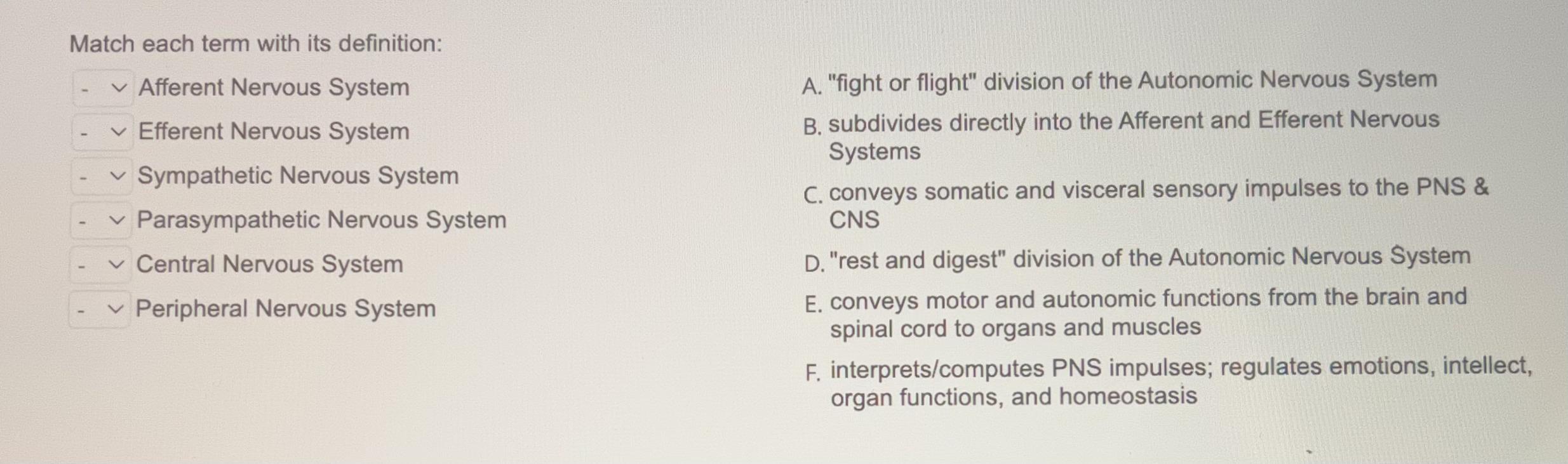 Solved Match each term with its definition: Afferent Nervous | Chegg.com