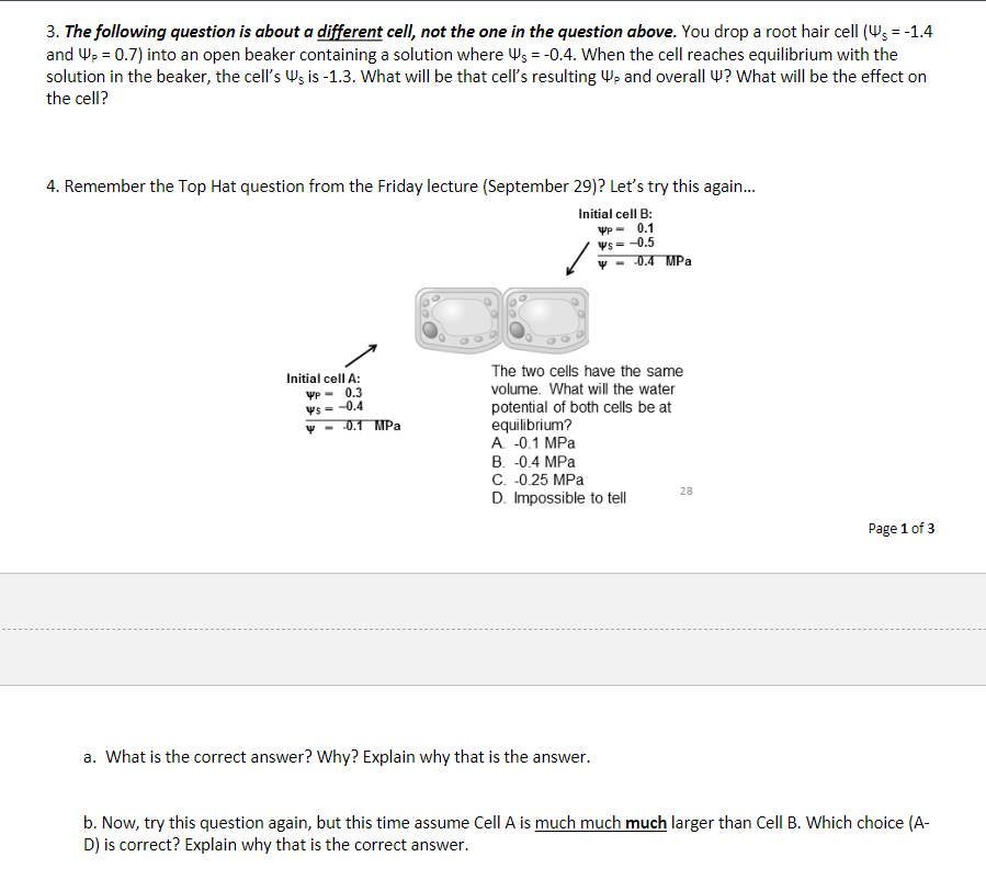 Solved 3. The following question is about a different cell, | Chegg.com