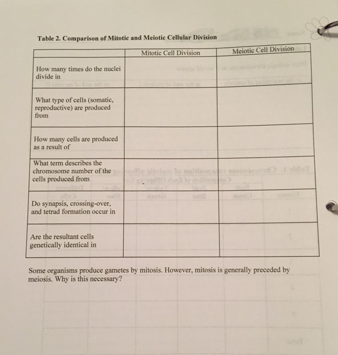 Solved Table 2. Comparison of Mitotic and Meiotic Cellular | Chegg.com