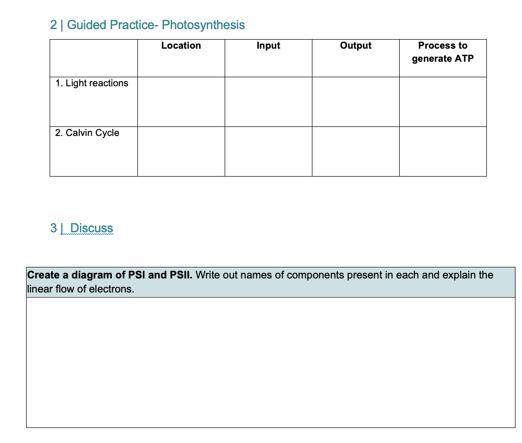 Solved 2 | Guided Practice- Photosynthesis | Chegg.com