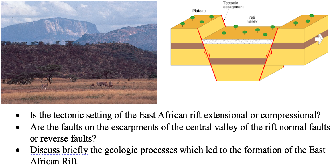 Solved Is the tectonic setting of the East African rift | Chegg.com
