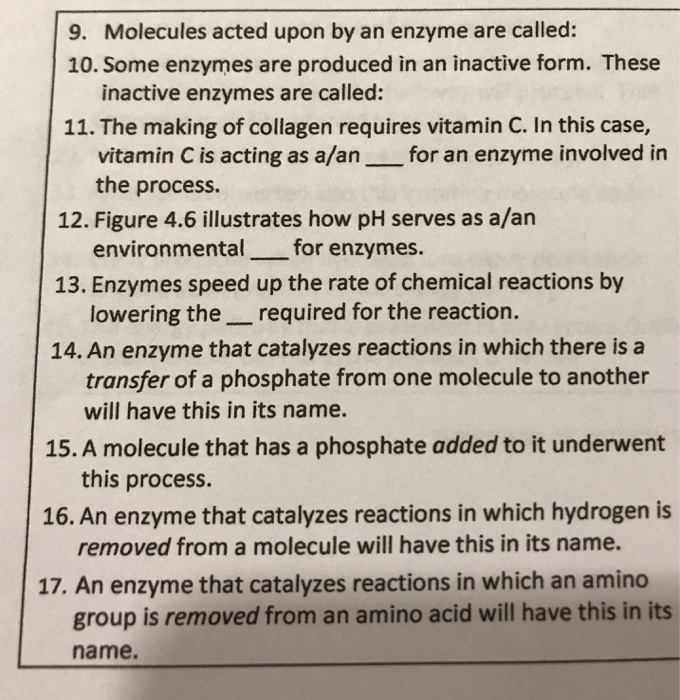 Solved 9. Molecules acted upon by an enzyme are called: 10. | Chegg.com