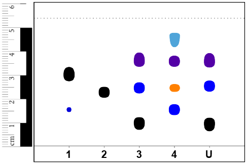 A student followed the procedure outlined in Part II | Chegg.com