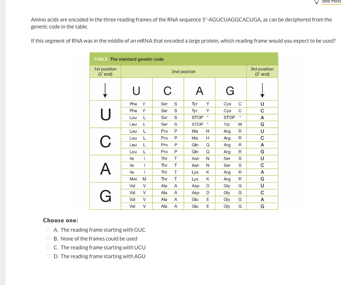 Solved Amino acids are encoded in the three reading frames | Chegg.com