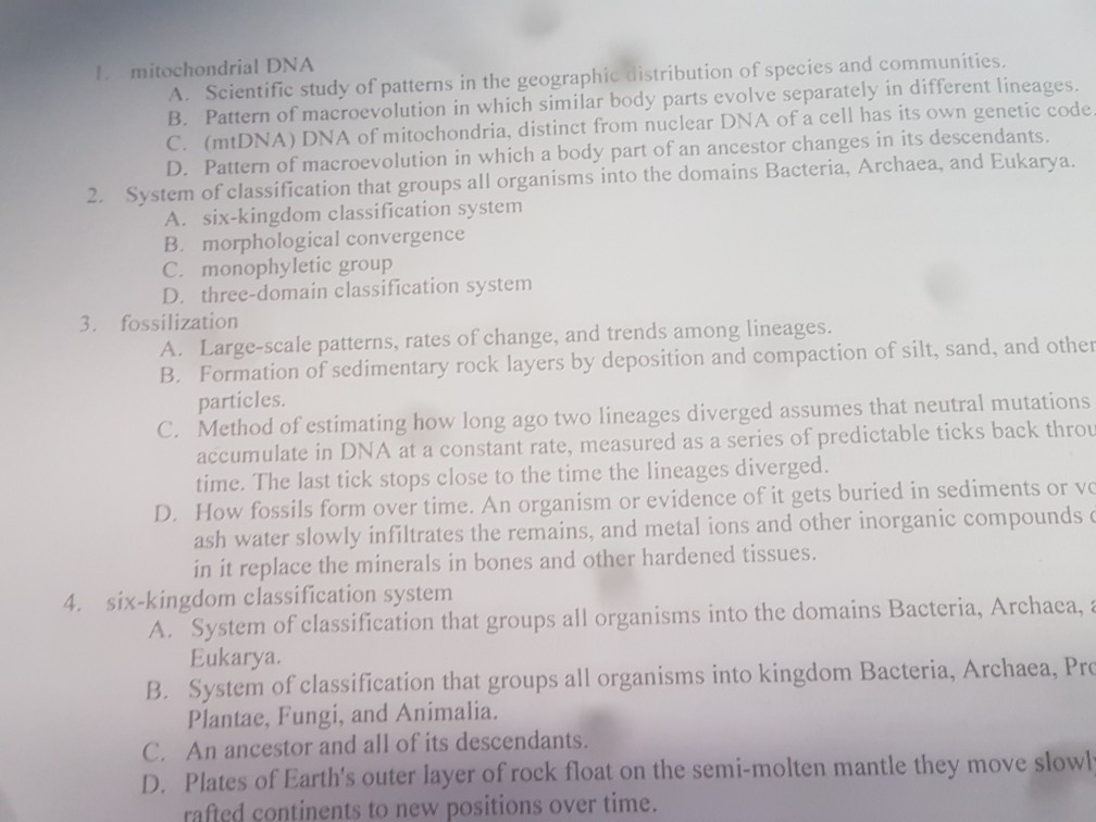 Solved mitochondrial DNA A. Scientific study of patterns in | Chegg.com