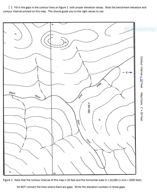 Contour Line Fill