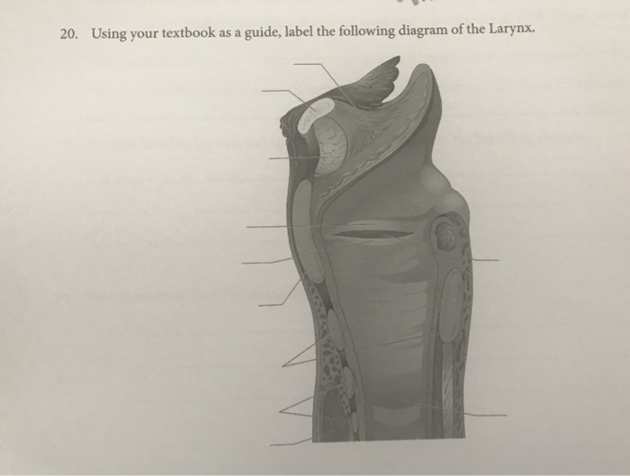 Solved 20. Using your textbook as a guide, label the | Chegg.com