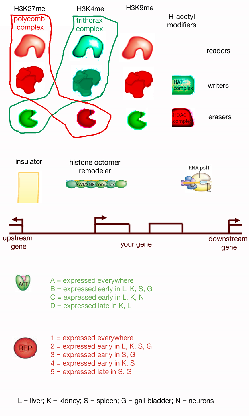 Solved Using the components below, design (draw) ﻿the | Chegg.com
