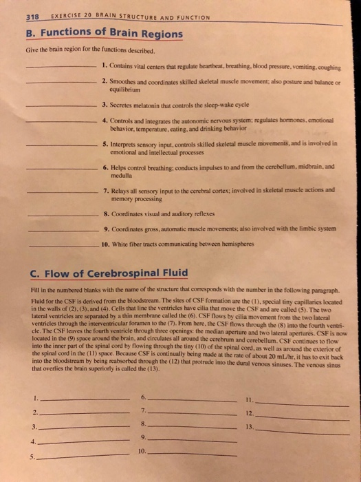Solved Name Date Reviewing Your Knowledge EXERCISE 16 A. | Chegg.com