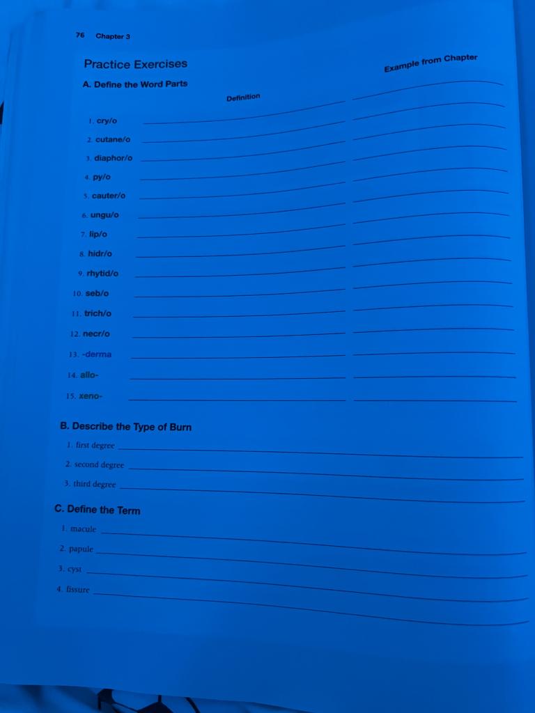 Solved Integumentary system chapter, Practice | Chegg.com