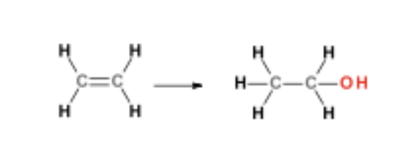 Solved A common reaction in metabolism is the addition of | Chegg.com