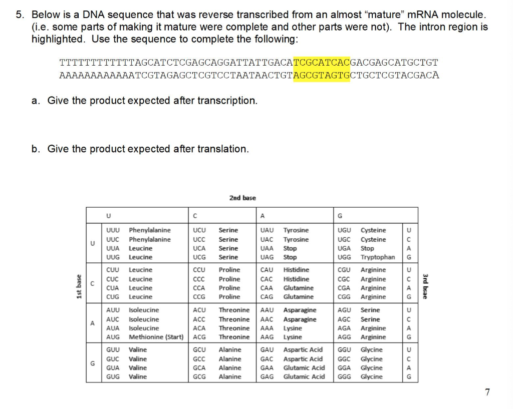 Solved 5. Below is a DNA sequence that was reverse | Chegg.com