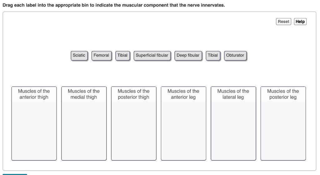 Solved Drag each label into the appropriate bin to indicate | Chegg.com