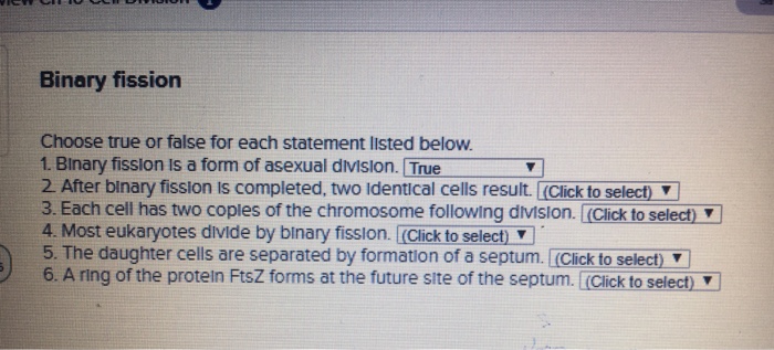 Solved Binary fission Choose true or false for each | Chegg.com