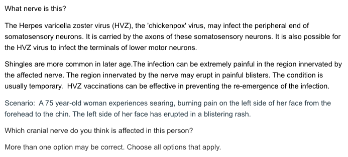 Solved What nerve is this? The Herpes varicella zoster virus | Chegg.com