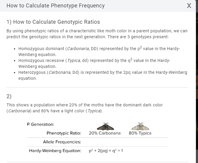 Solved Lab Data Phenotype Frequency Allele Frequency | Chegg.com