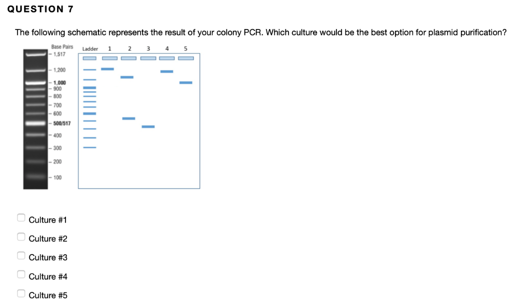 QUESTION 1 Match the experiment or test with the | Chegg.com